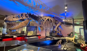 Things you didn't know were on the Newcastle University campus!